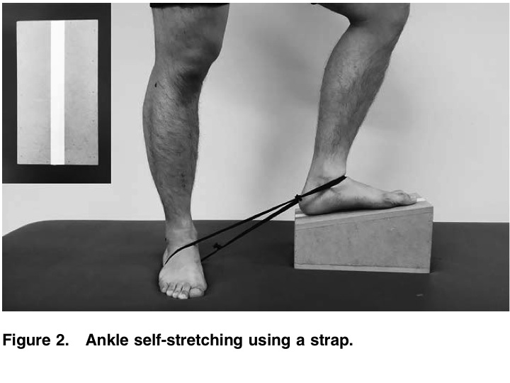 Ankle Mobility Techniques - Mend Colorado