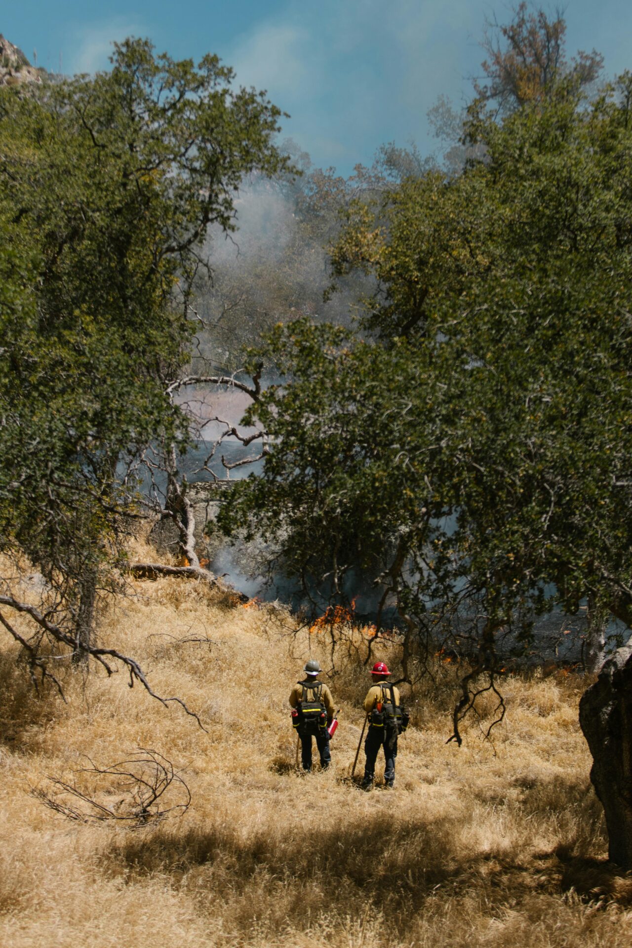 Common Injuries in Firefighters and How Mend Physical Therapy Can Help ...